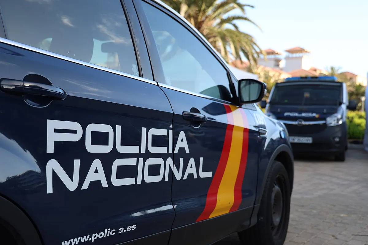 Detenido por abandonar a su hijo de 13 años en un coche robado mientras ...