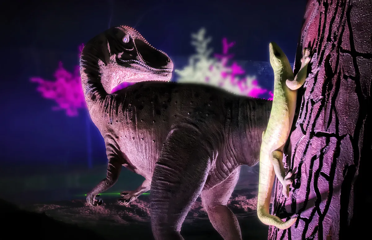 Una aventura jurásica con dinosaurios 'vivos' y un T-Rex de nueve metros que ruge | Madrid