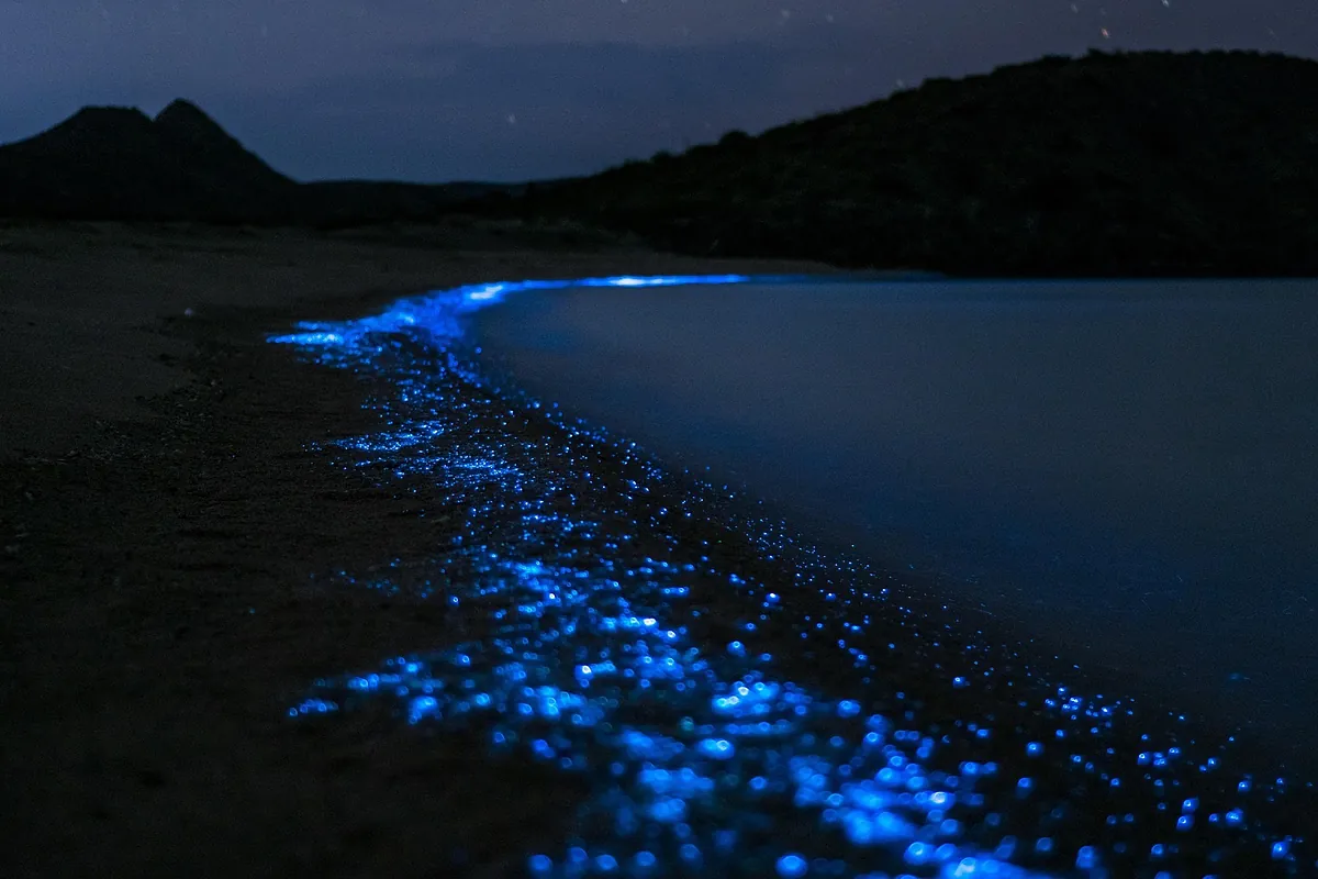 Están son las playas de Galicia donde el mar brilla de noche: así es el ...