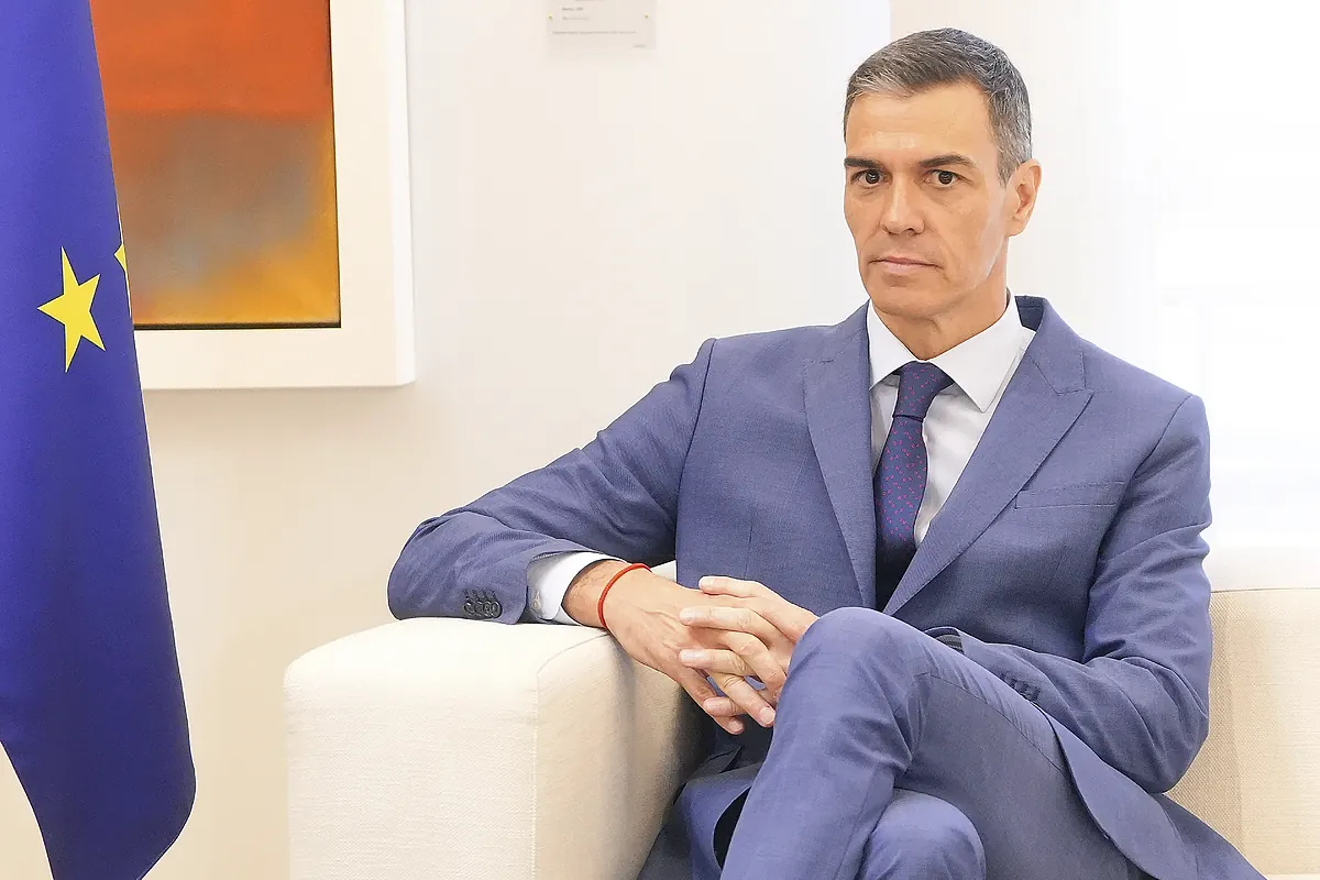 De pedir perdón en falso a exigir disculpas en serio | Columnistas