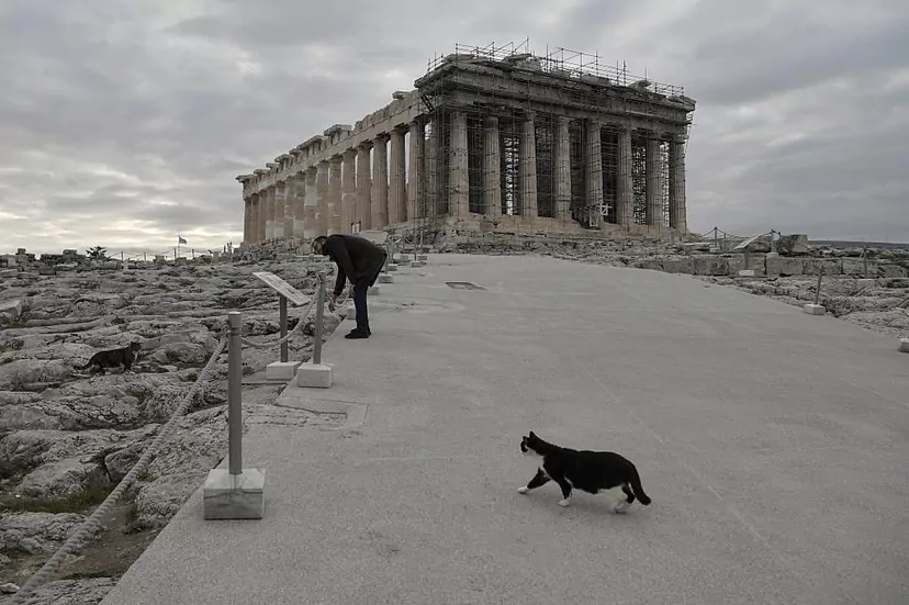 Effie Acrópolis Ahora Cita Global: Multi Region | Effie Worldwide,