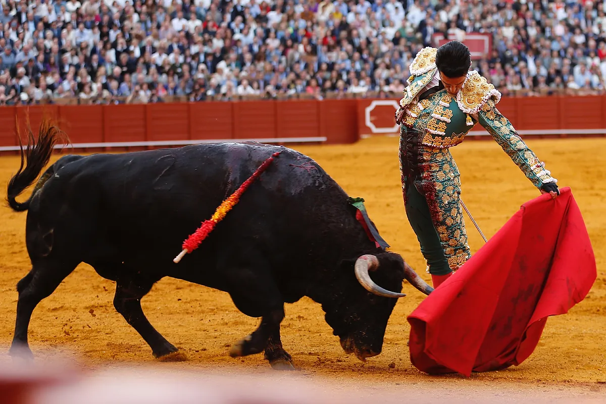 El toro, según las manos | Toros